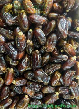 buy Sayer dates - Export Fruit and Citrus